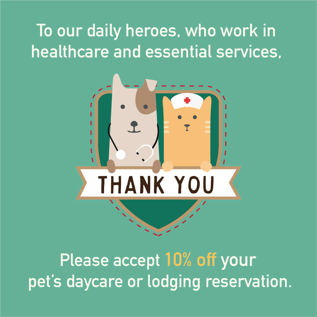Special Thank You To Our Daily Heroes - Pet Camp - San Francisco Dog ...