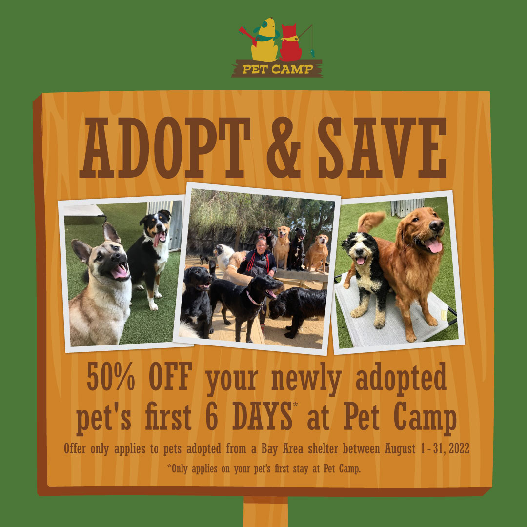 Pet Camp | Overnight Dog & Cat Boarding | Doggie Daycare San Francisco