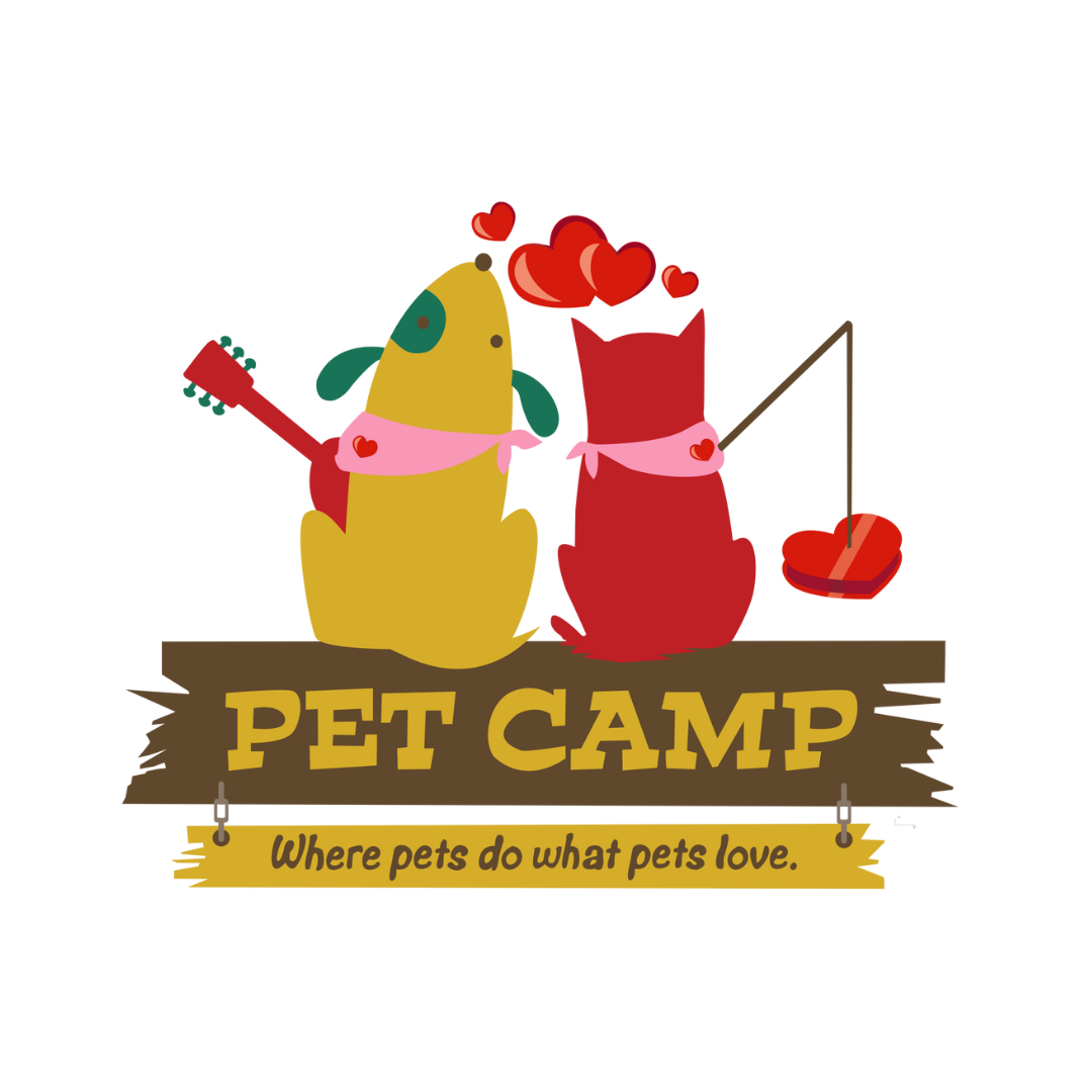 Pet Camp Camper Cadets - Pet Camp - San Francisco Dog Daycare and Pet ...