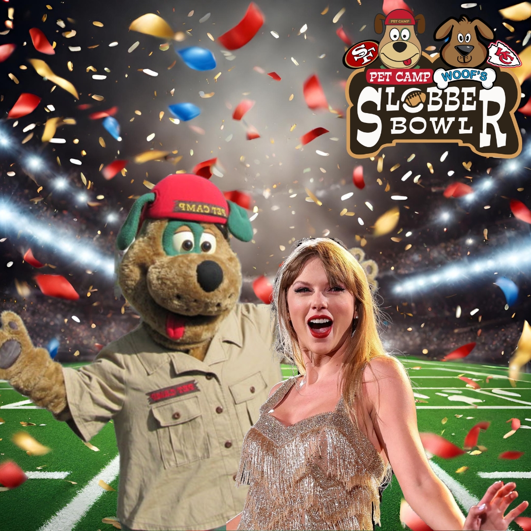 If you hate us – just stay away! - Pet Camp - San Francisco Dog Daycare ...